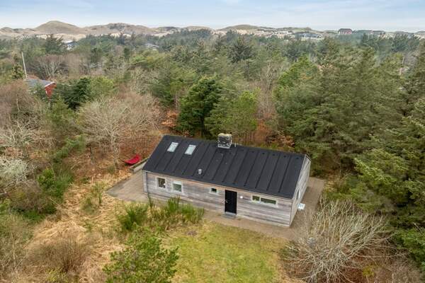 Blokhus, Nordjylland, Sommerhus 63326, 7 personer, Pejs/brændeovn